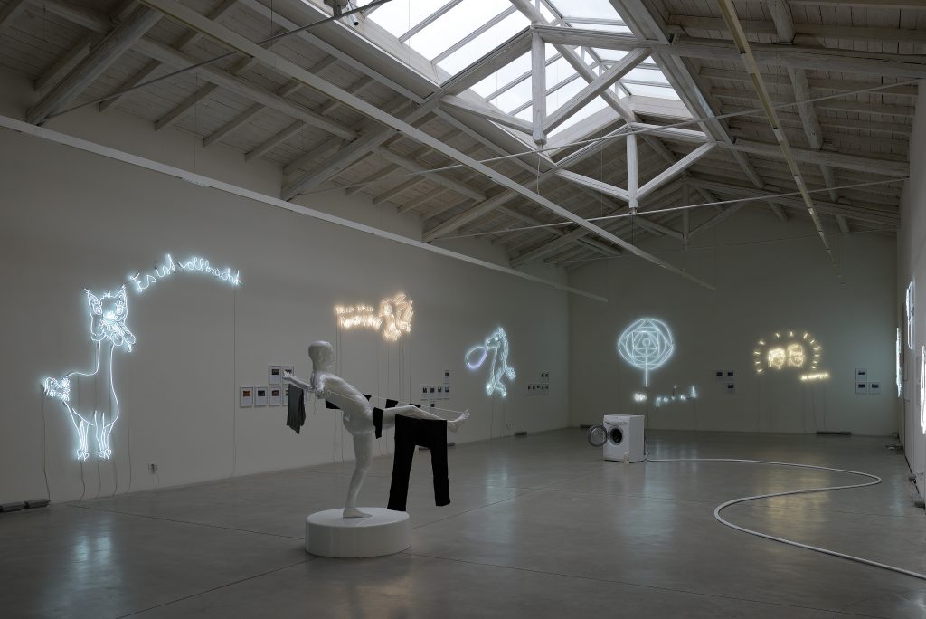 Christian Jankowski, Where do we go from here | Galleria Enrico Astuni