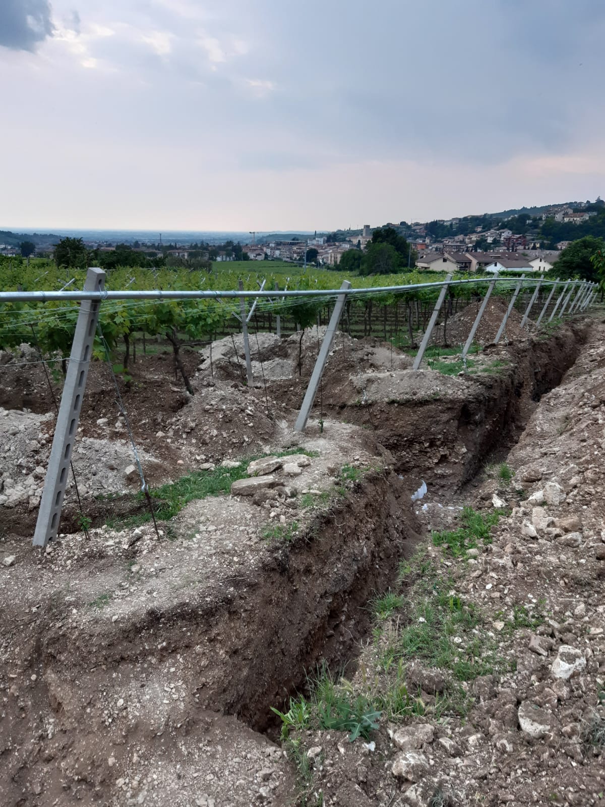 Il tesoro sotto le vigne: domus romana scoperta a Negrar di Valpolicella