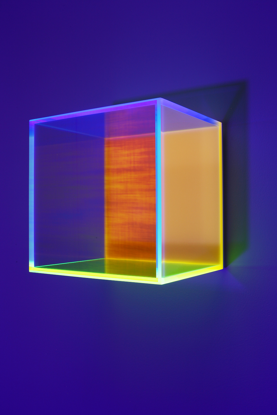 Il colore mutante di Regine Schumann, perfetto nell’ora blu