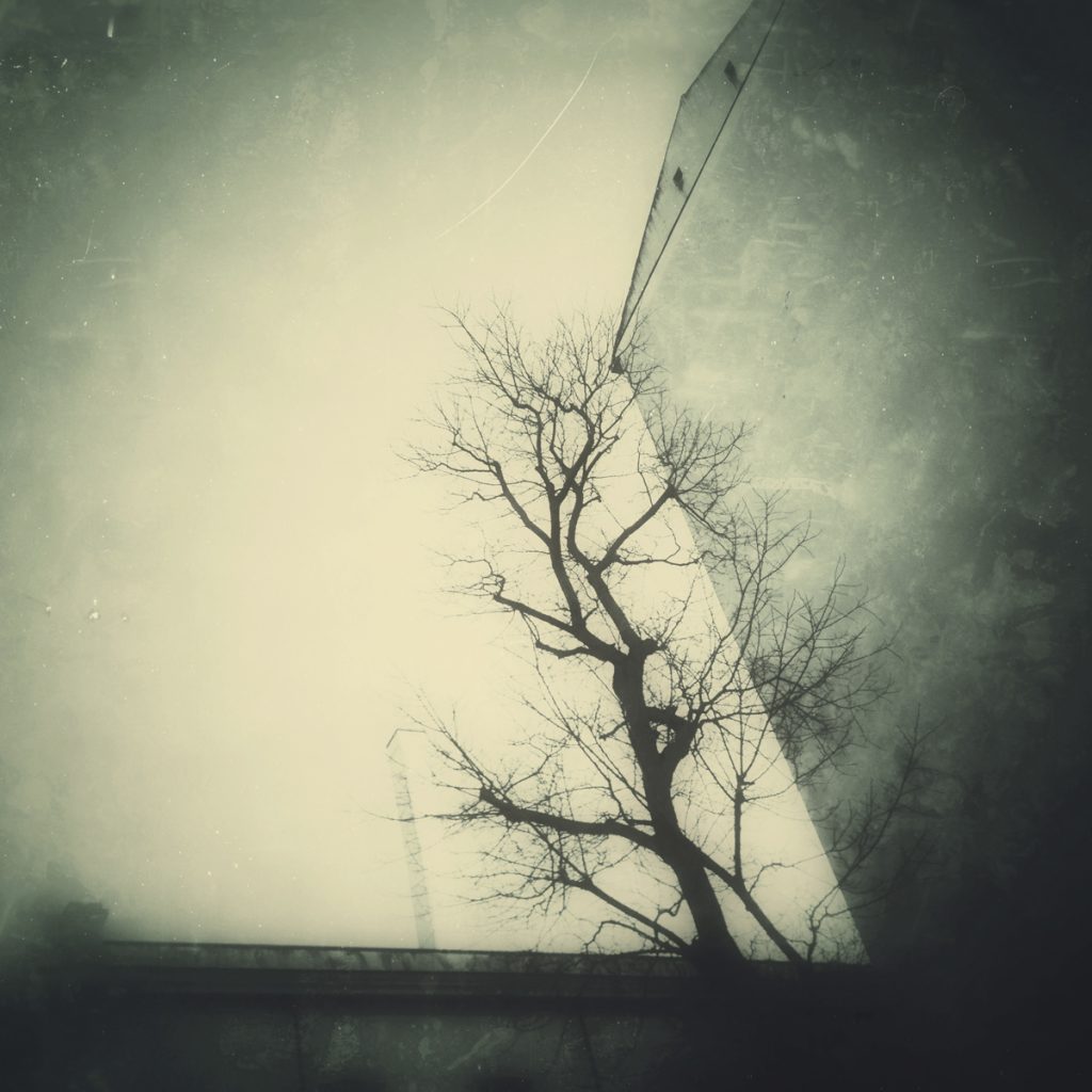 Le fotografie seriali di Anna Rosati alla Galleria B4 di Bologna