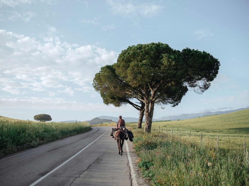 Roselena Ramistella - Studio Trisorio, Napoli