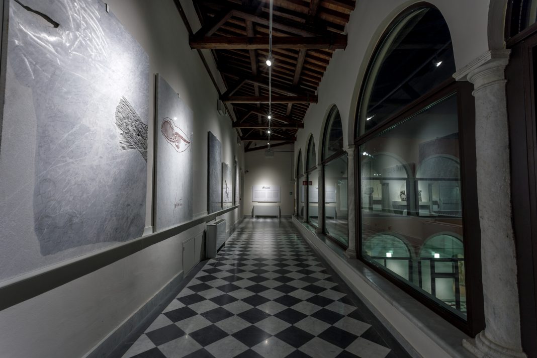 Il nuovo allestimento del mudaC | museo delle arti Carrara. Le parole ...