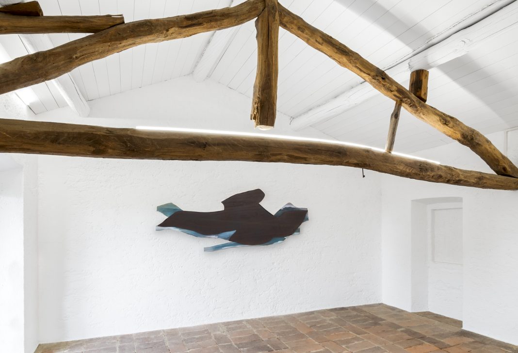 'Ai-gerridi-d’acqua': la mostra personale di Daiga Grantina da Cascina ...