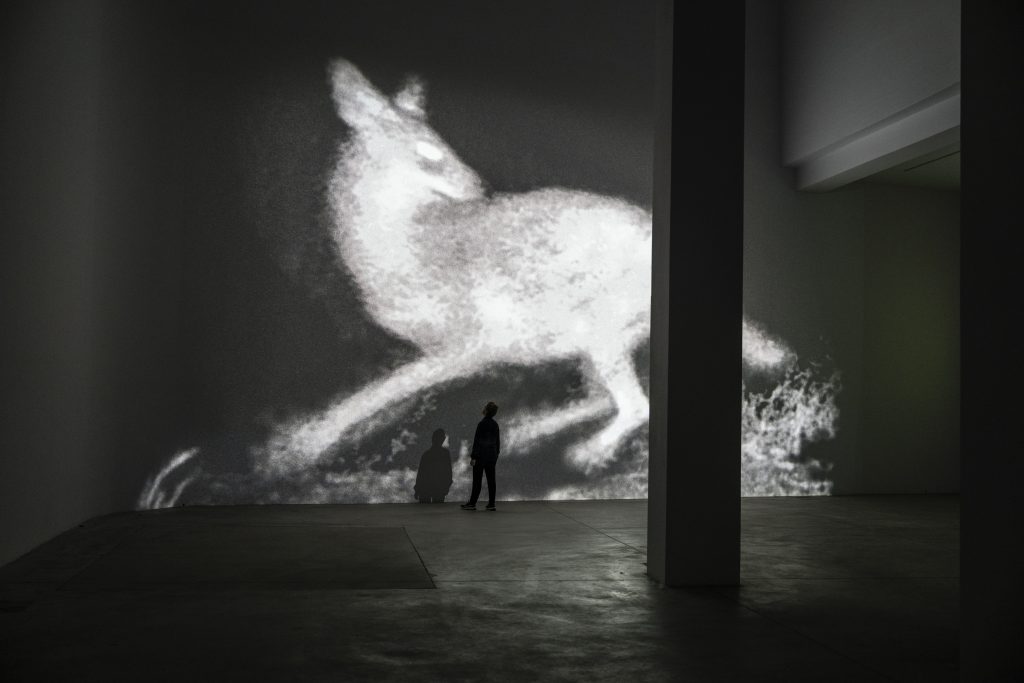 Gli occhi dello sciacallo. Michal Rovner alla Fondazione Merz