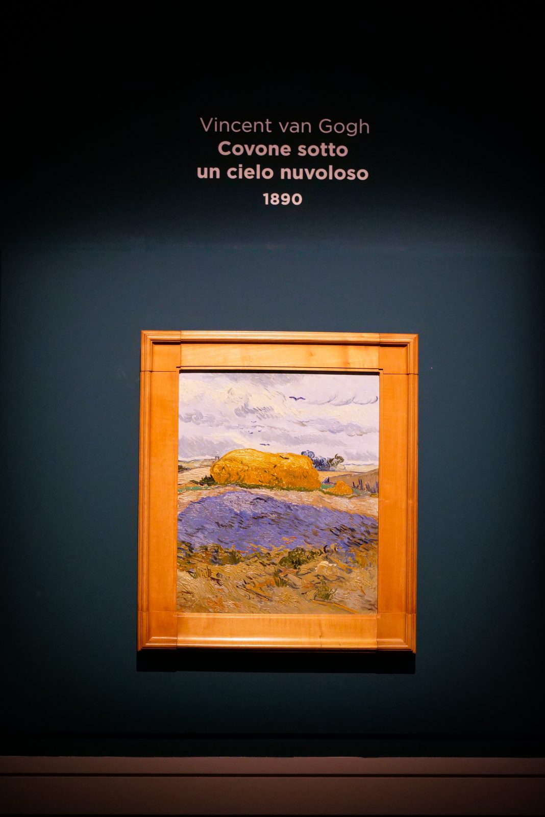 Nello spirito della natura: Vincent Van Gogh a Palazzo Bonaparte di Roma