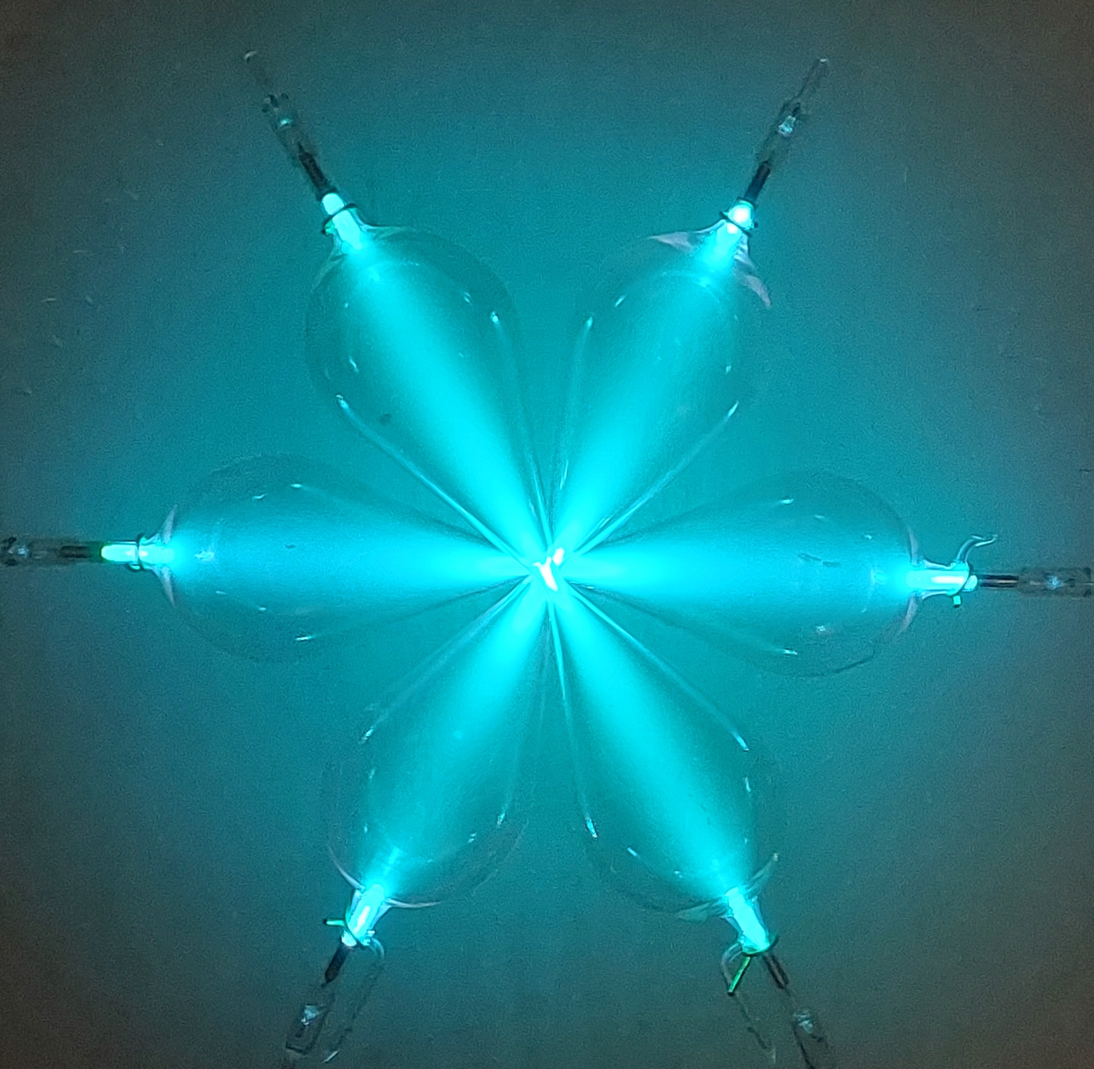 Tristano di Robilant, Josè Angelino – Museo Archeologico Metropolitano