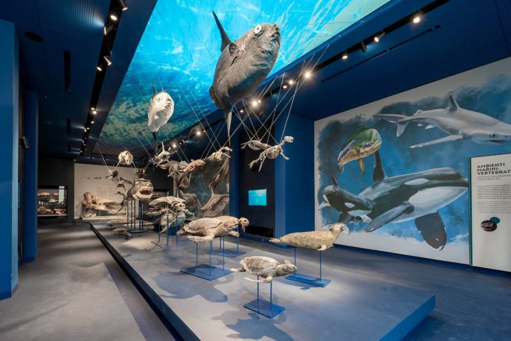 Il Museo della Natura e dell’Uomo apre le porte a Padova