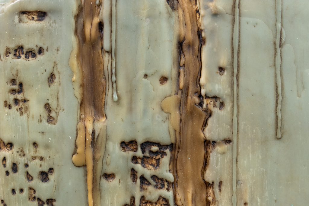 Silvia Infranco e Laura Omacini: le ultime mostre di Marignana Arte