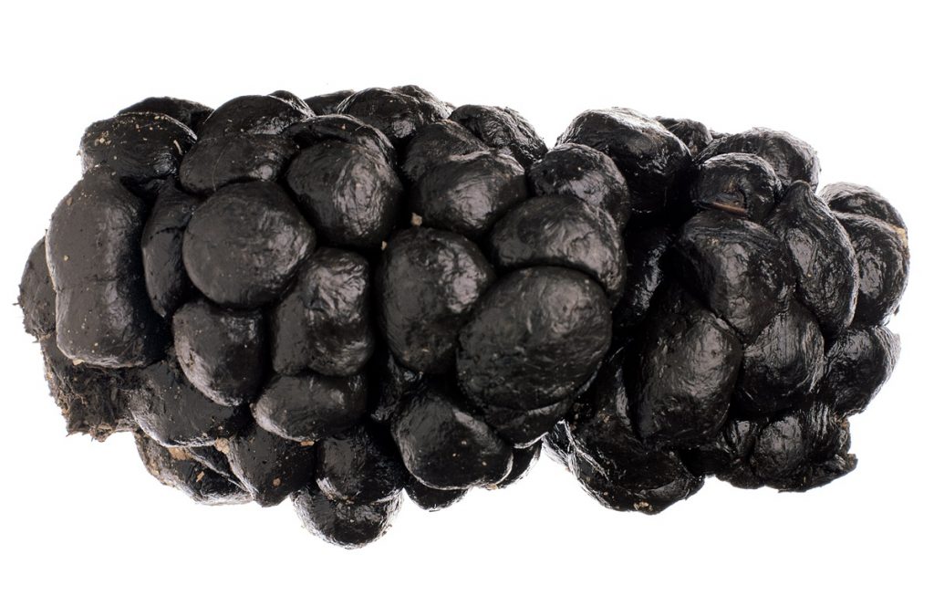 CACAS: a Milano, la mostra di Oliviero Toscani, per infrangere un tabù