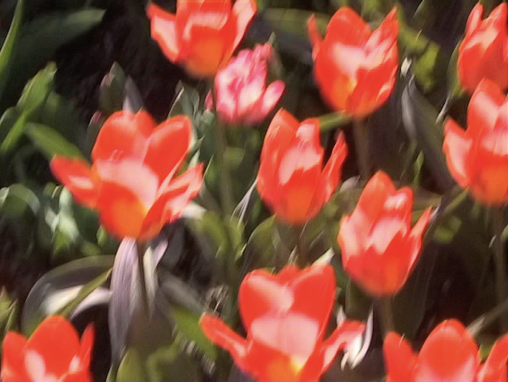 Requiem, l'ultima opera video di Jonas Mekas arriva a Venezia