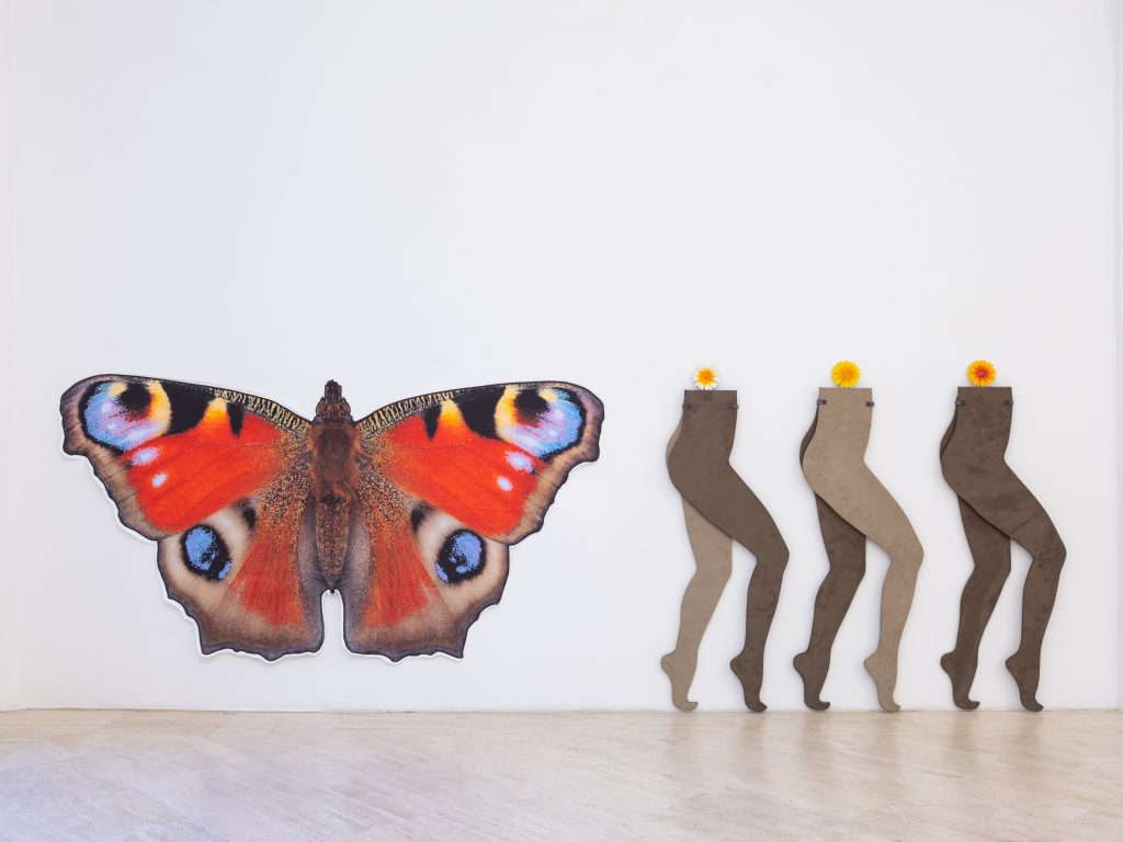 Il debutto di Anthea Hamilton a Roma con Soft You