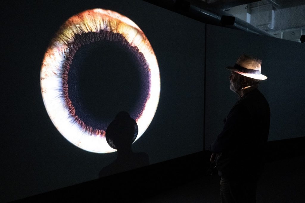 Rohini Devasher trasforma in arte i misteri dell’universo