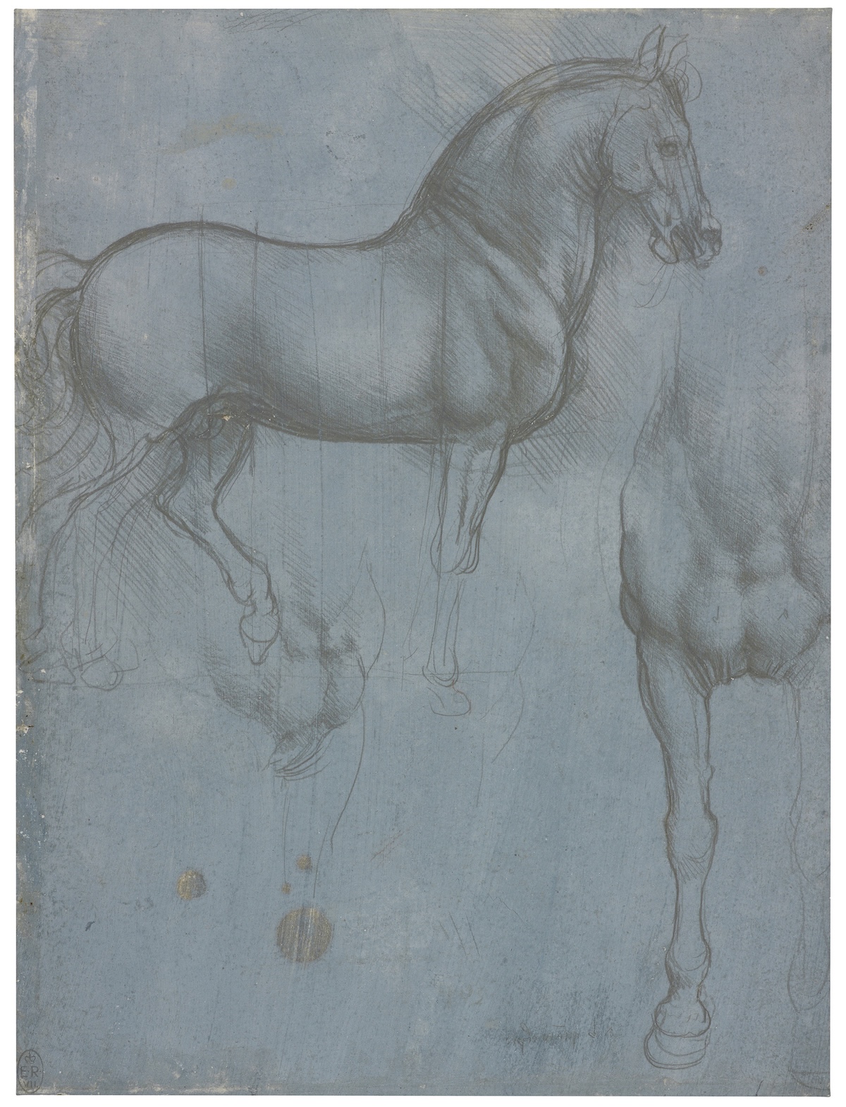 Leonardotheka: la piattaforma online che riunisce i manoscritti di Leonardo
