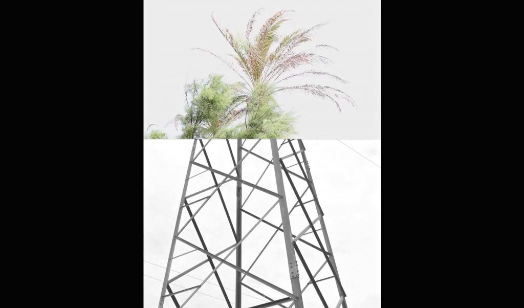 Cosimo Casoni - Utopian Vivarium - exibart.com