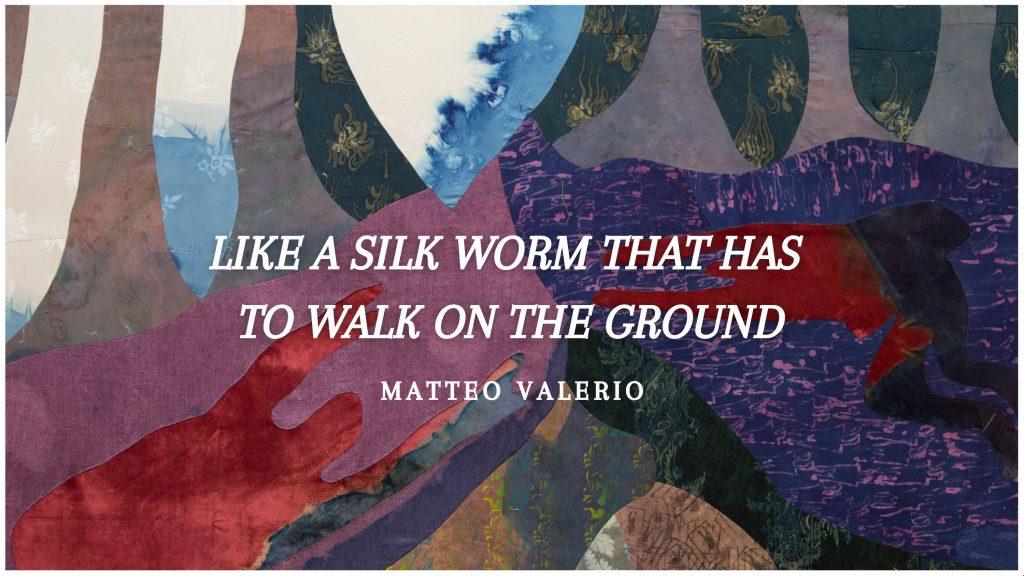 Matteo Valerio - Like a silk worm that has to walk on the ground - exibart.com