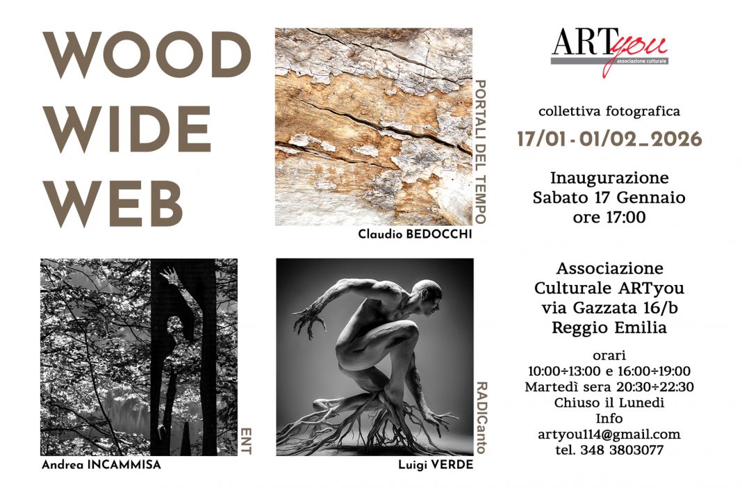 WOOD WIDE WEB - exibart.com