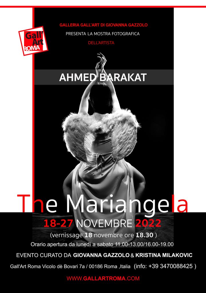 Ahmed Barakat - exibart.com